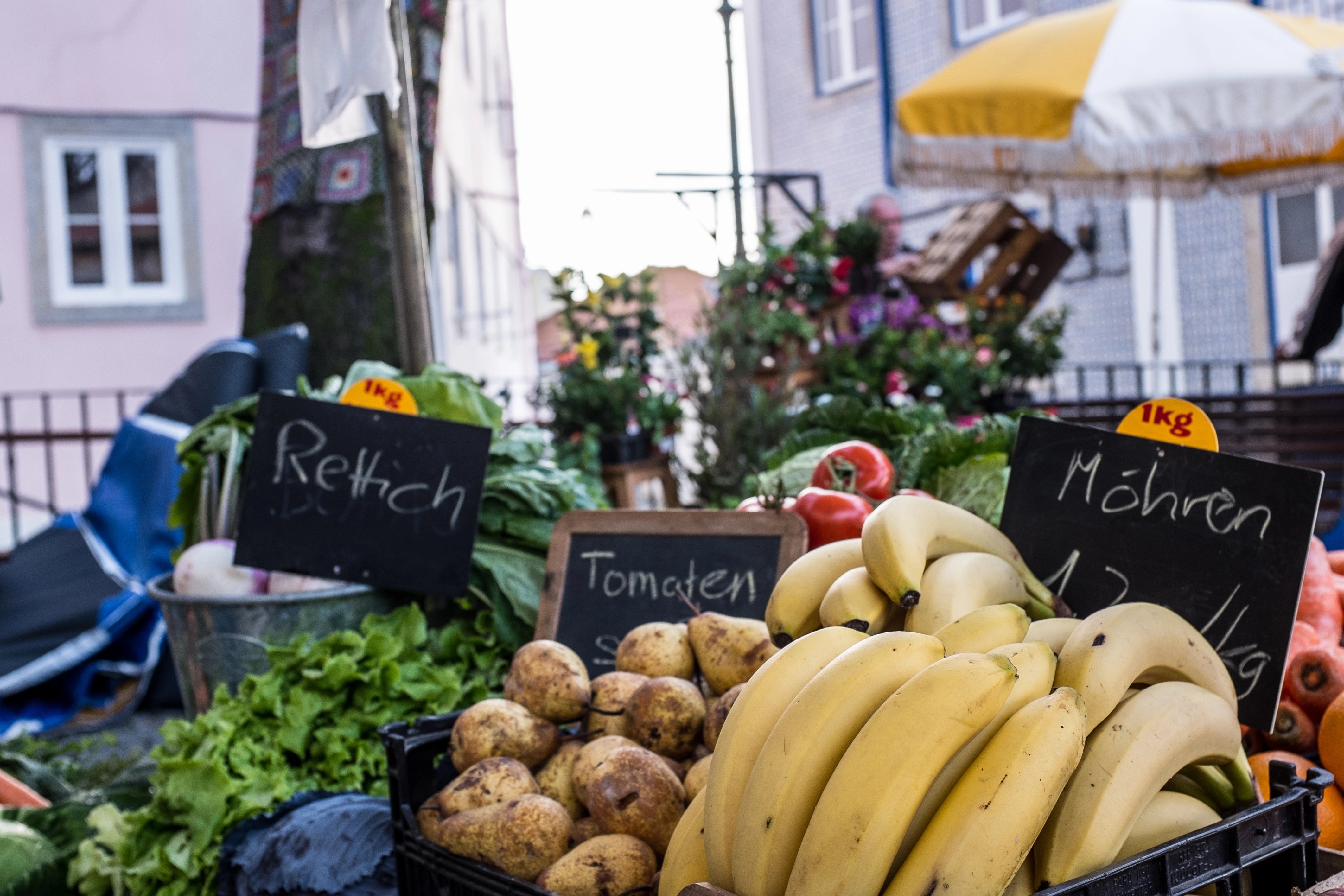 Islington Farmers Market Guide – Nourished Communities