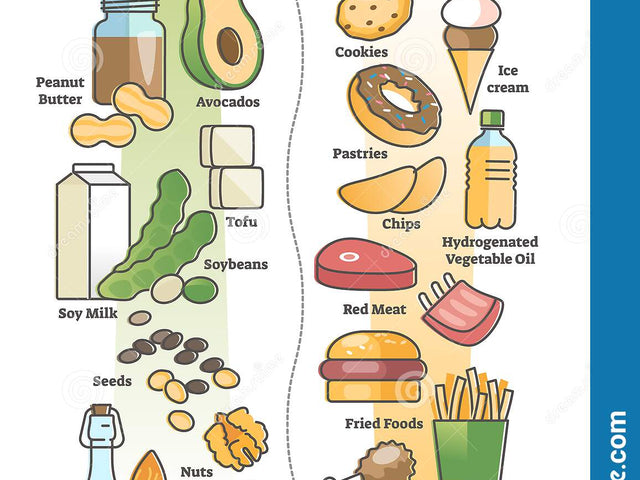 Fat: Unsaturated, Saturated and Trans, Explained (A Bit) – Nourished ...