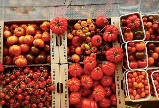 The Tomato Stall - Isle of Wight Tomatoes – Nourished Communities